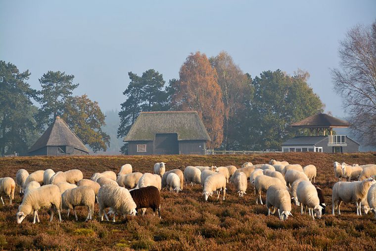 Bezienswaardigheden - Op Welna - Verbind met natuur